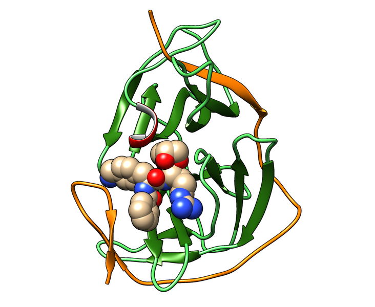 Three dimensional structure of Zika virus protease clarified | German ...